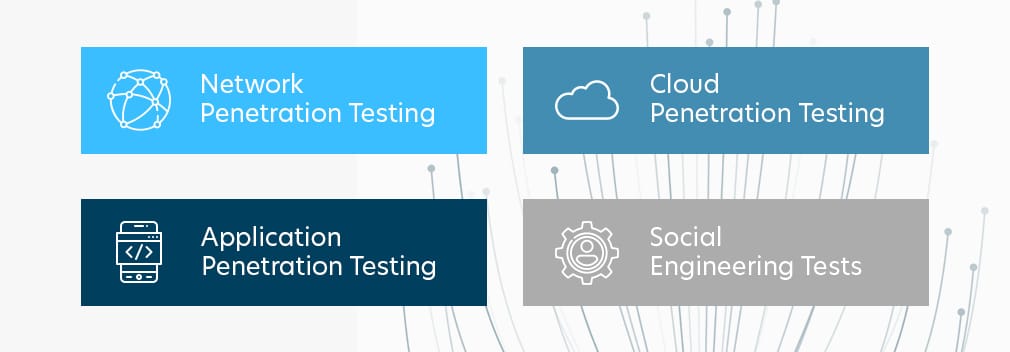 Penetration Testing Services | TrustNet